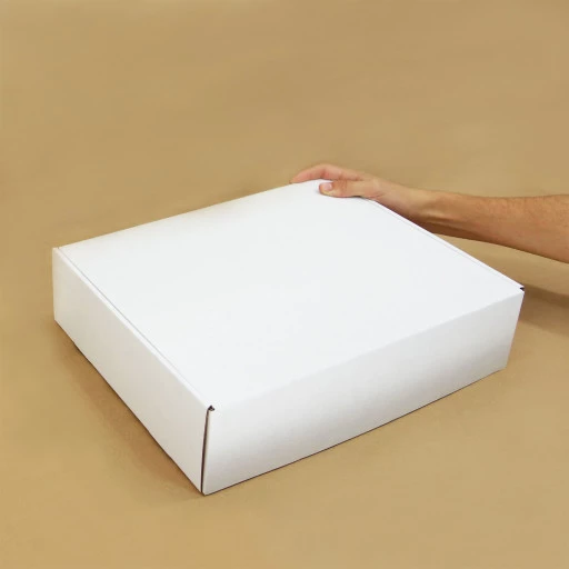 Caja autoarmable colores 40x30x10 - Romel Store
